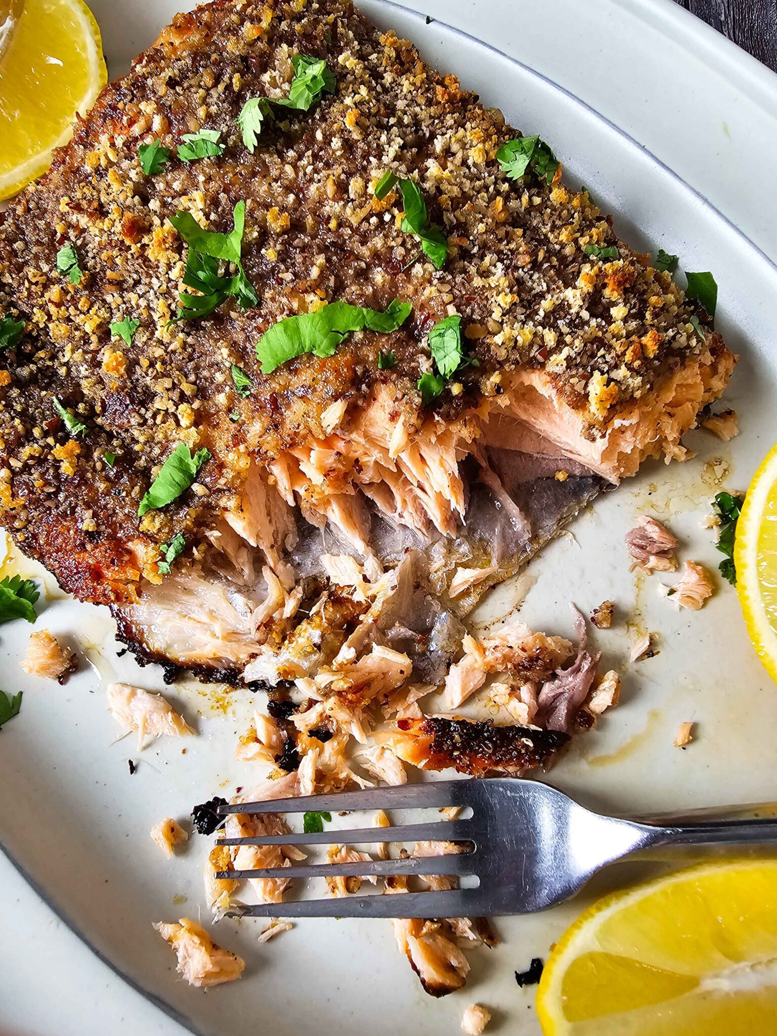 Quick Baked Salmon with Pecan Panko Crunch - U Keep Cooking
