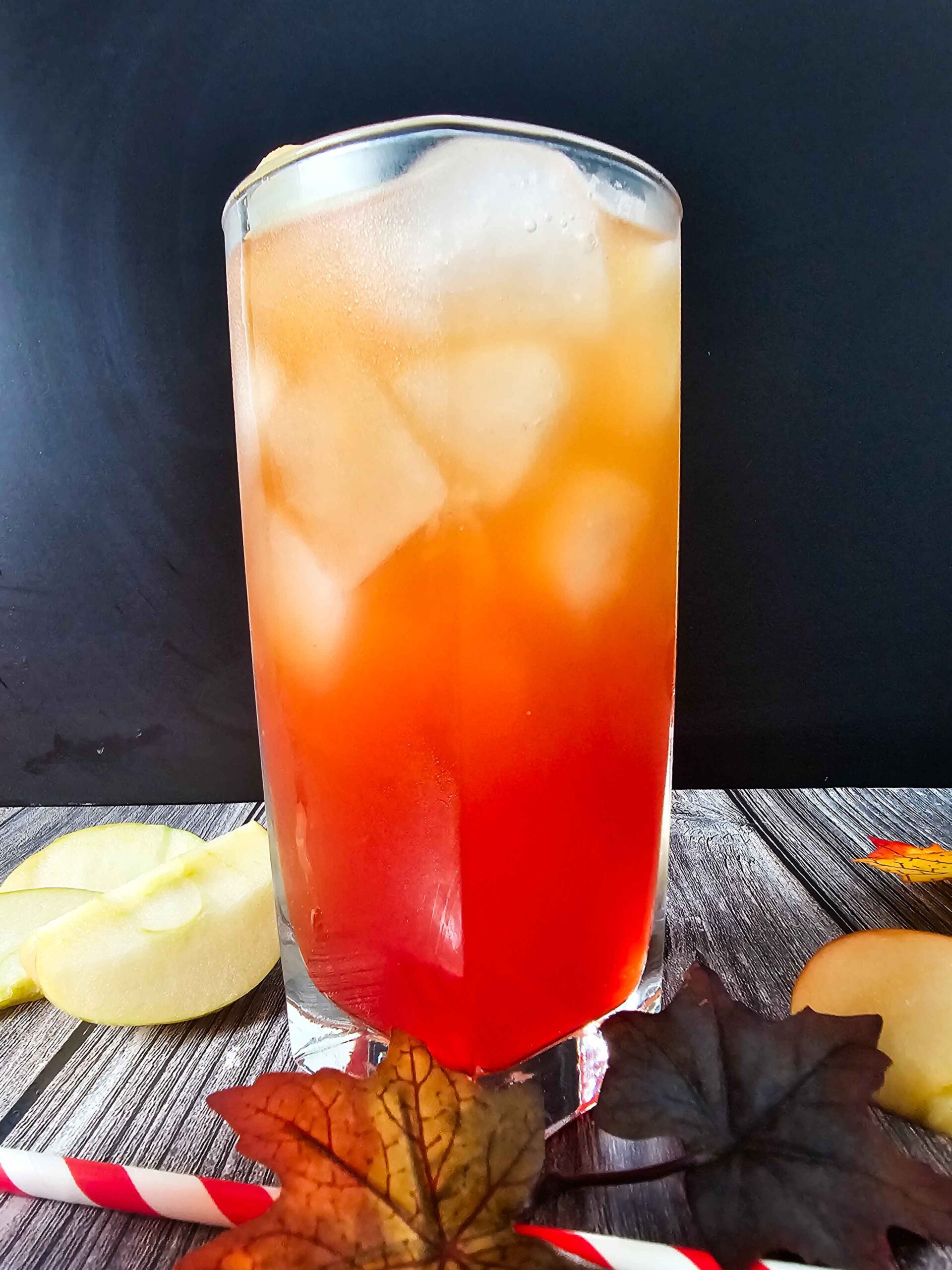 Simple Autumn Apple Cider Cranberry Mocktail - U Keep Cooking